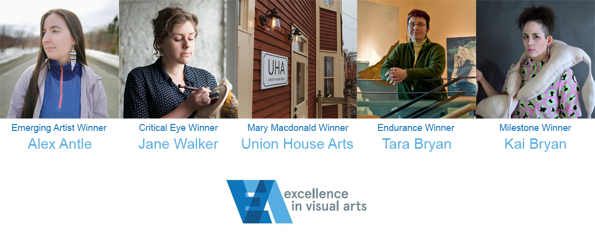 Winners announced for the 2021 Excellence in Visual Arts Awards